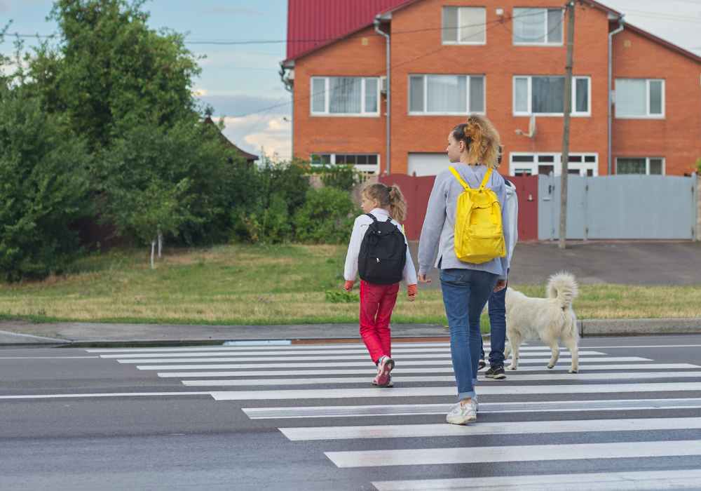 Understanding Right-of-Way Rules: A Simple Guide to Navigating Traffic ...